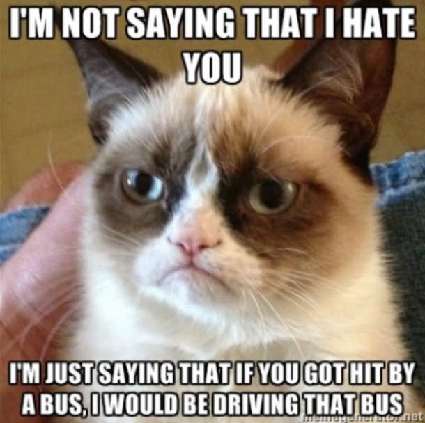 21 Best Grumpy Cat Memes And Funny Quotes About Love And Life Yourtango